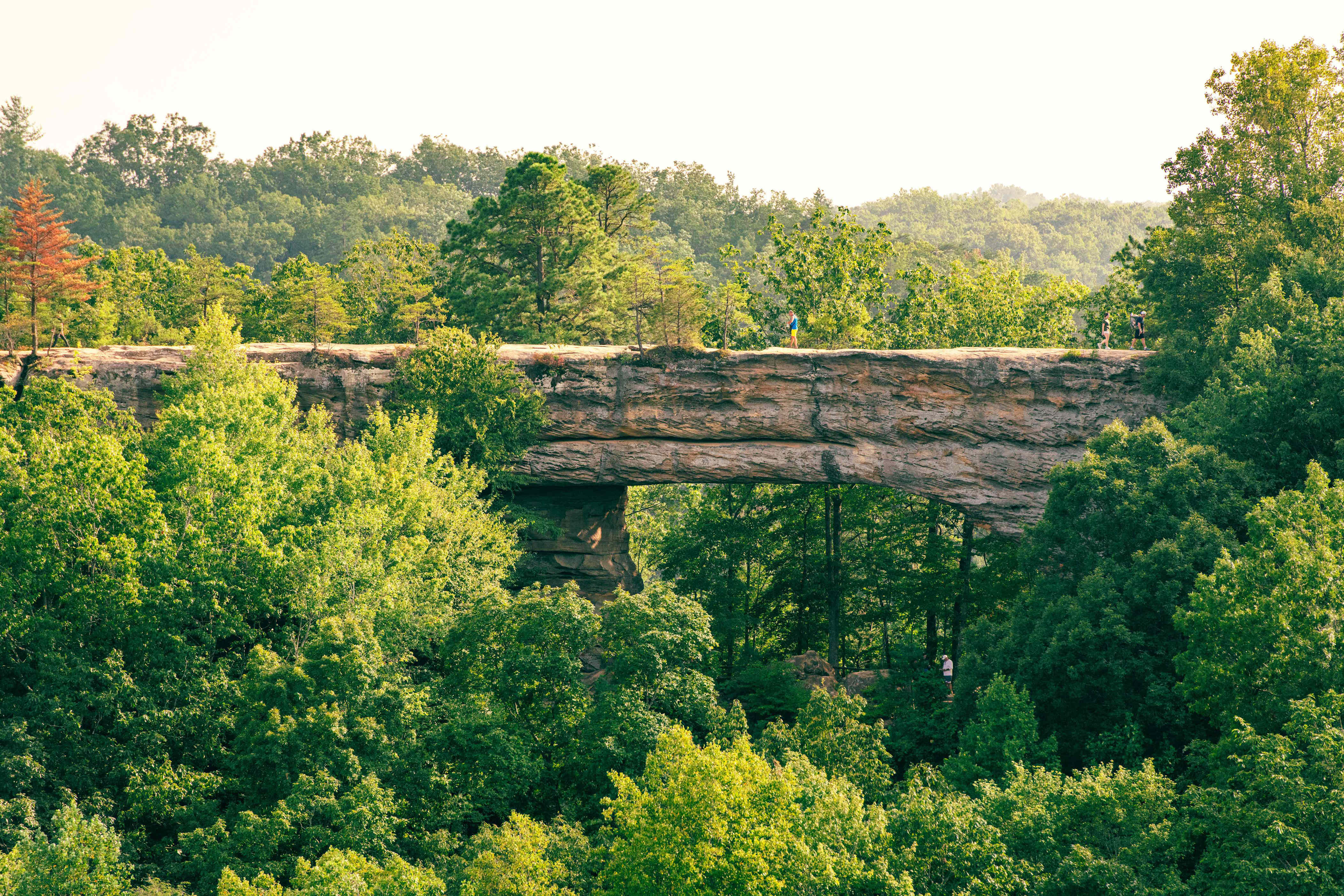 This Underrated Kentucky Spot Is Home To The South's Most Breathtaking ...