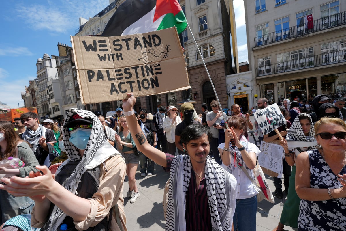 Palestine Action activists told to 'go floppy' when arrested by police ...