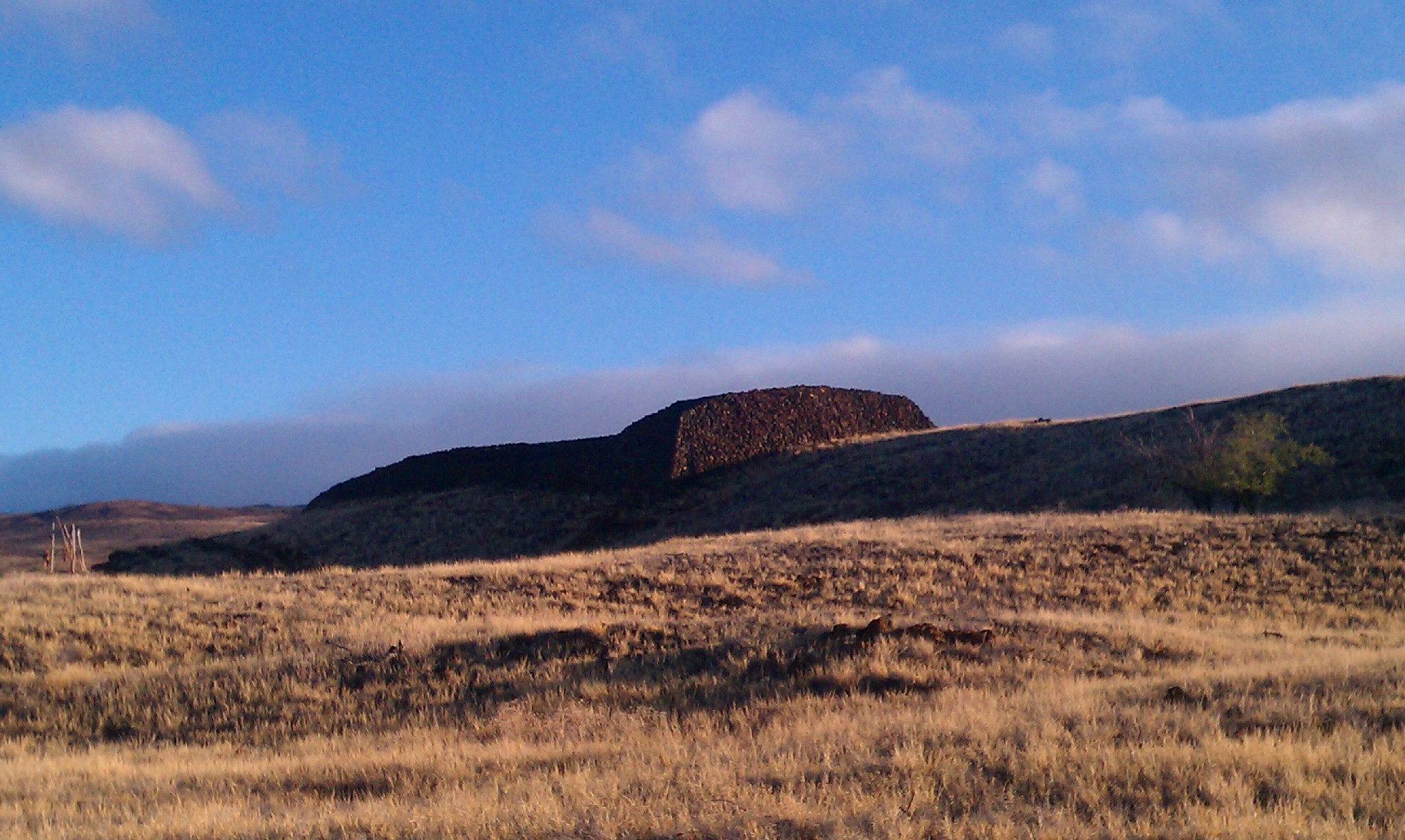 The ancient Hawaiian temple built with a 20-mile human chain and one ...