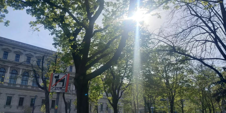 Strahlender Sommertag in Wien: Bis zu 31 Grad erwartet