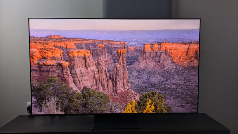 TV winners and losers 2025: OLEDs got even brighter, and 8K (still ...
