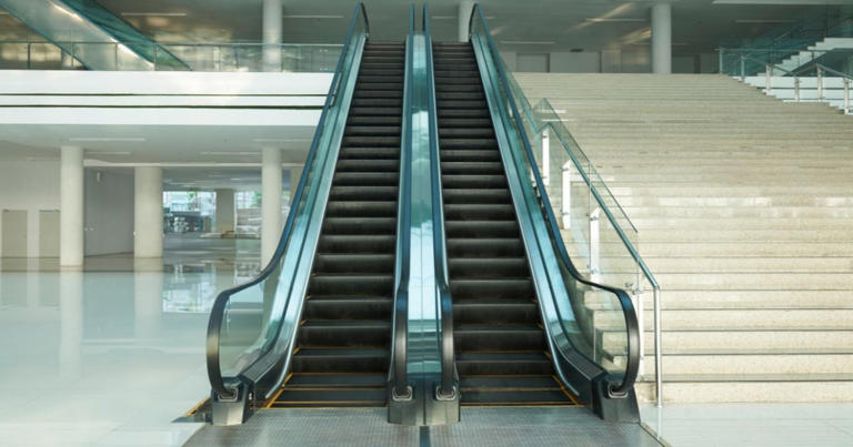 La vraie fonction des brosses d’escalator révélée, et pourquoi il est important de ne pas les ...