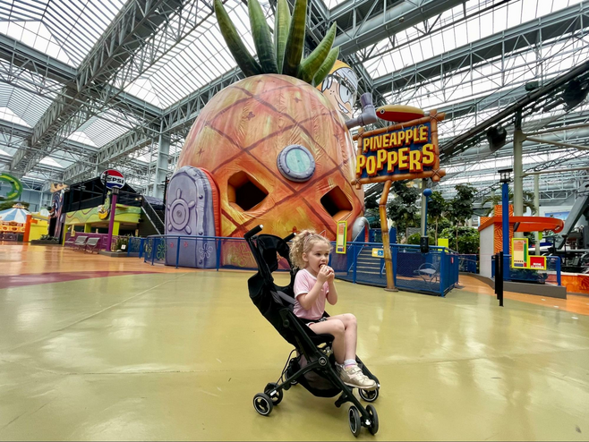14 Essential Tips for Visiting Mall of America with Kids
