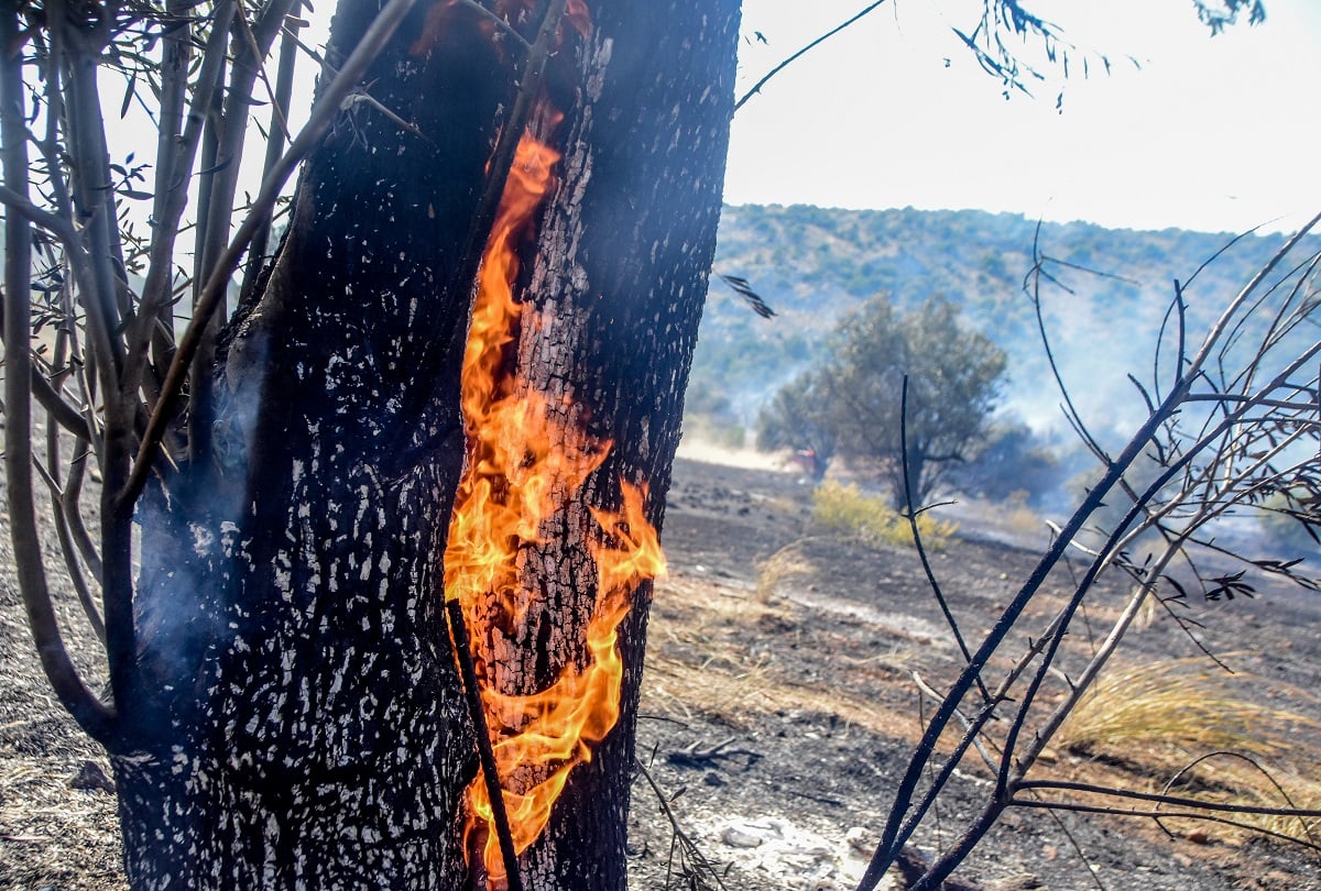 «Βόμβα» Ευρωπαϊκού Ελεγκτικού Συνεδρίου: Χρηματοδότηση δισεκατομμυρίων ...