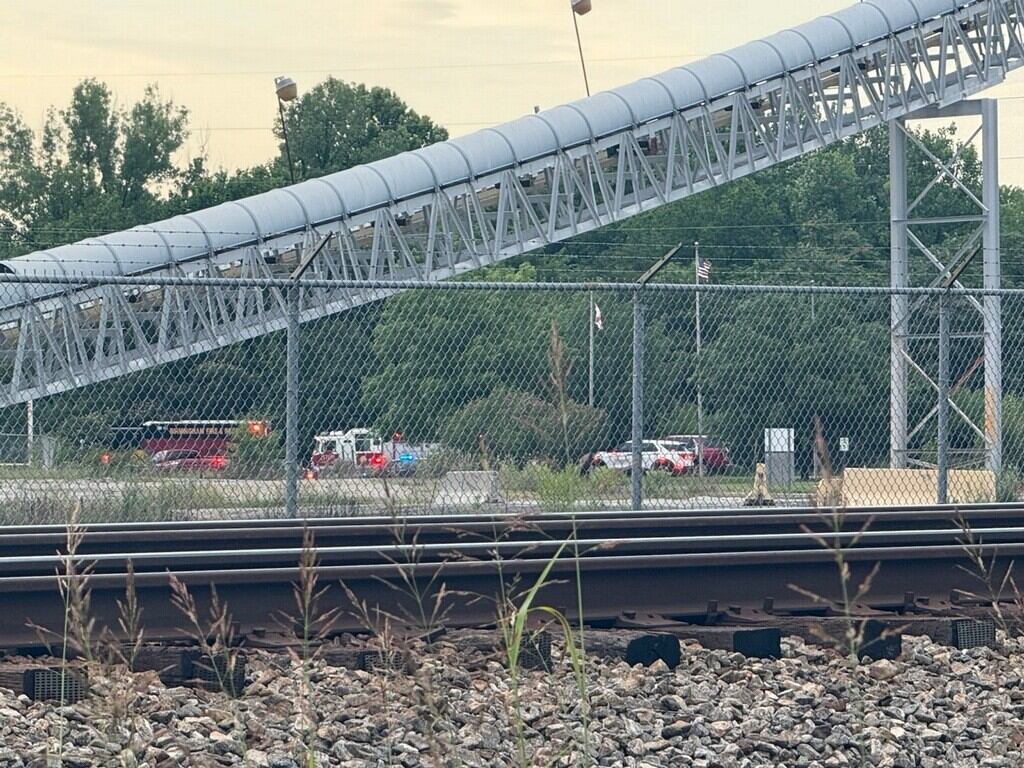 Cousins, 9, and 26, identified in Midfield rock quarry drowning