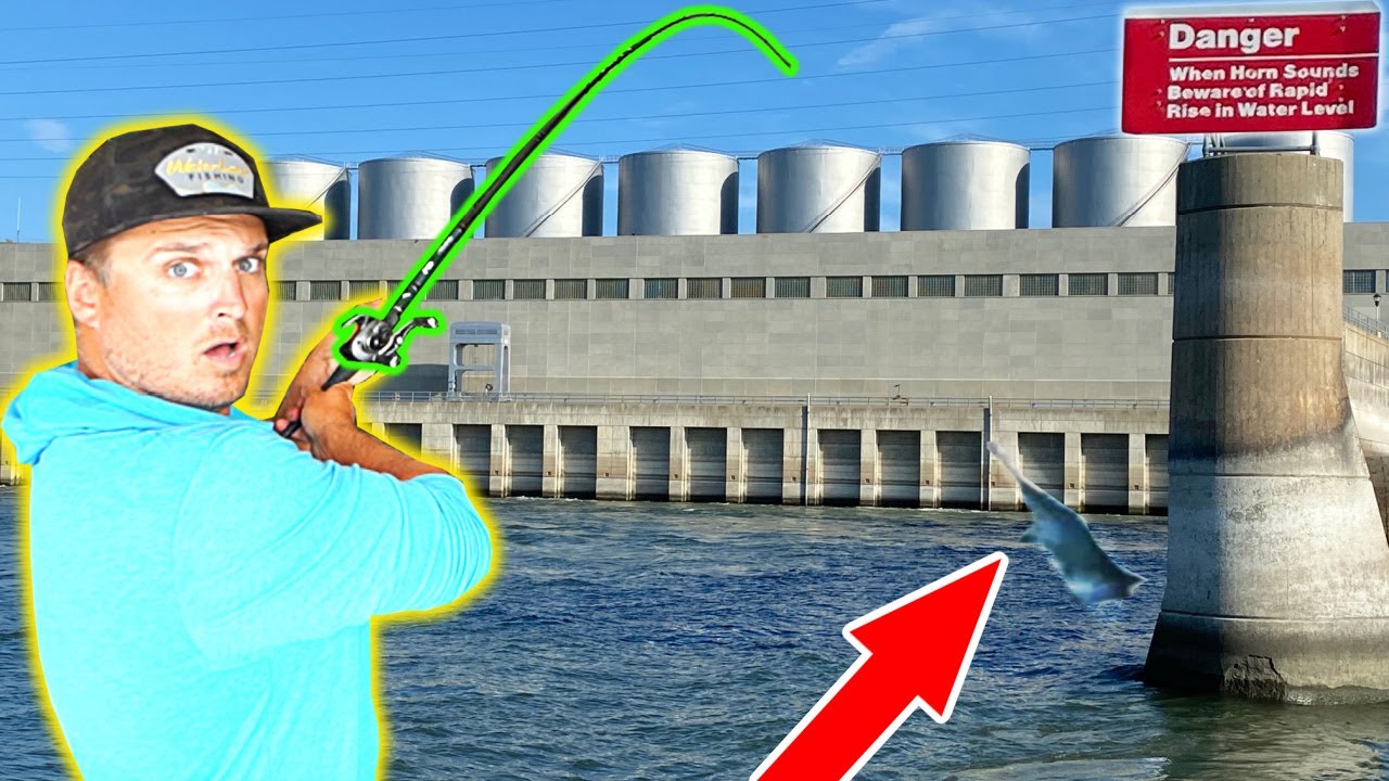Unexpected river fish becomes biggest catch of angler’s life