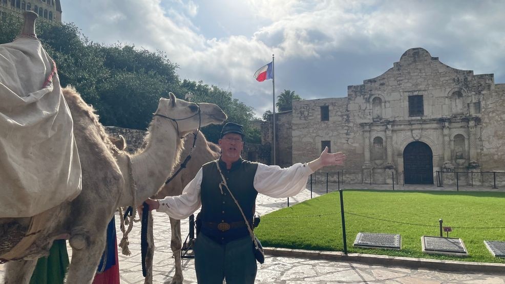 World Camel Day: Visitors learn about camels' role in U.S Army history ...