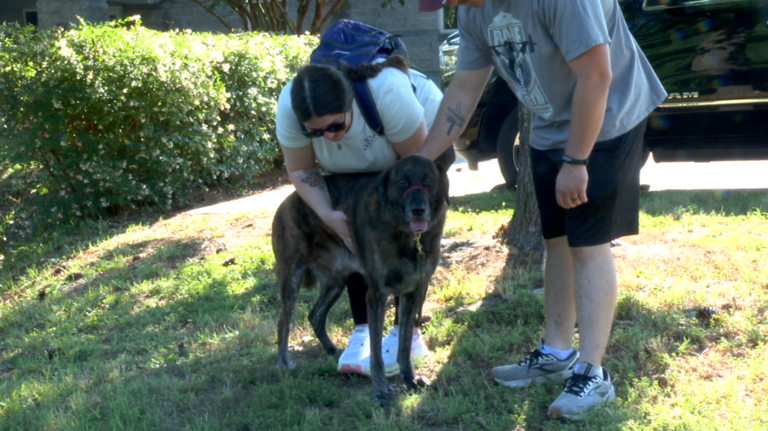 PHOTOS: 2nd annual Dog Walk to honor firefighter who died three years ago