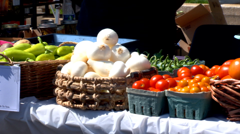 PHOTOS: HCA Virginia hosts block party to fight sickle cell disease