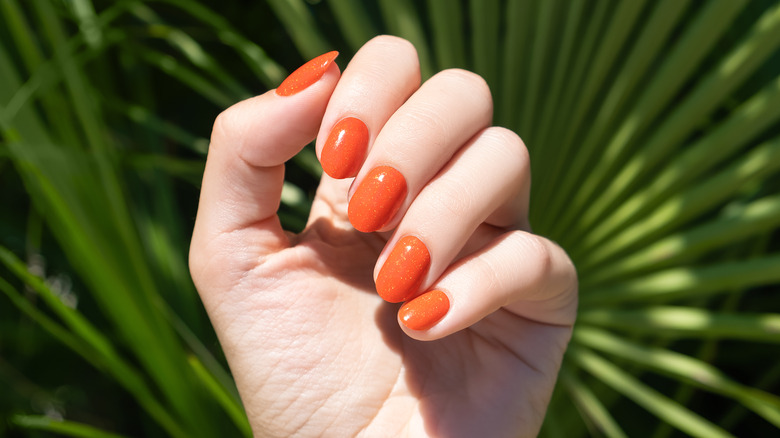 The Ultimate Guide To Picking Your Next Nail Shape
