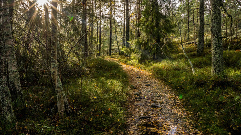 Island Hop Via Ferry On Europe's Unique Archipelago Trail Complete With ...