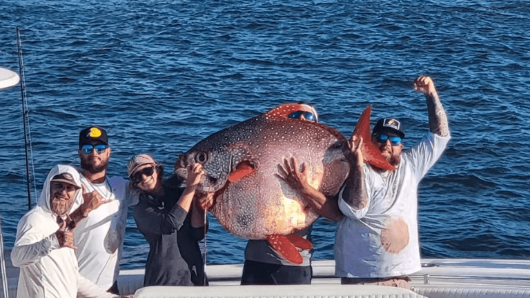 Week in review: Rare Opah caught, toddler left in hot car, splash of ...