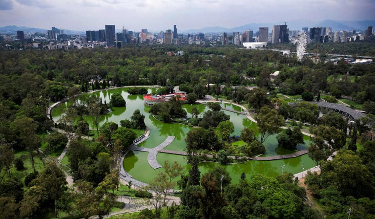 FOTOS: Lluvias y viento favorecen a las impactantes imágenes del Bosque ...