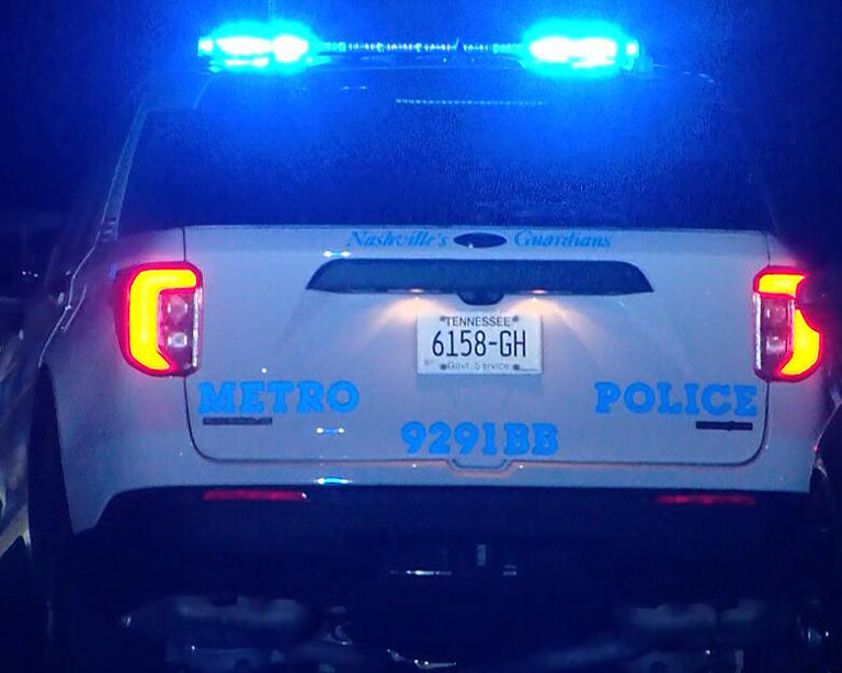 Teen accused of driving at Metro Nashville K-9 officer during street ...