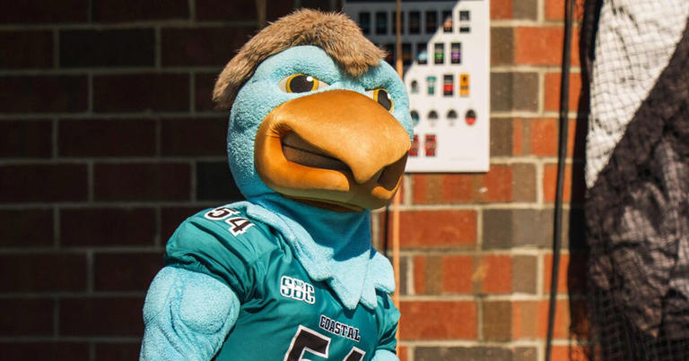 What is a Chanticleer? Coastal Carolina’s College World Series run has ...