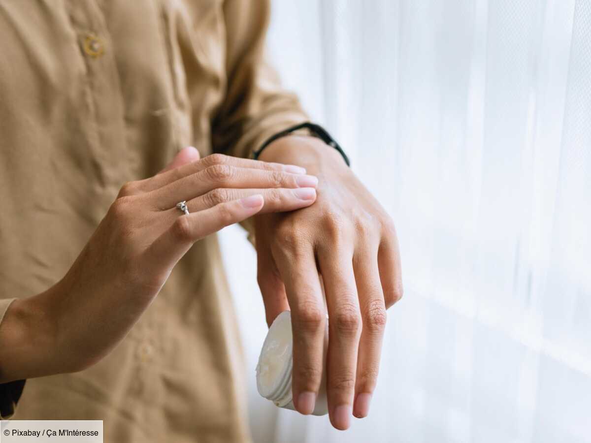 Fourmi, araignée, moustiques ? Voici comment distinguer les différentes ...
