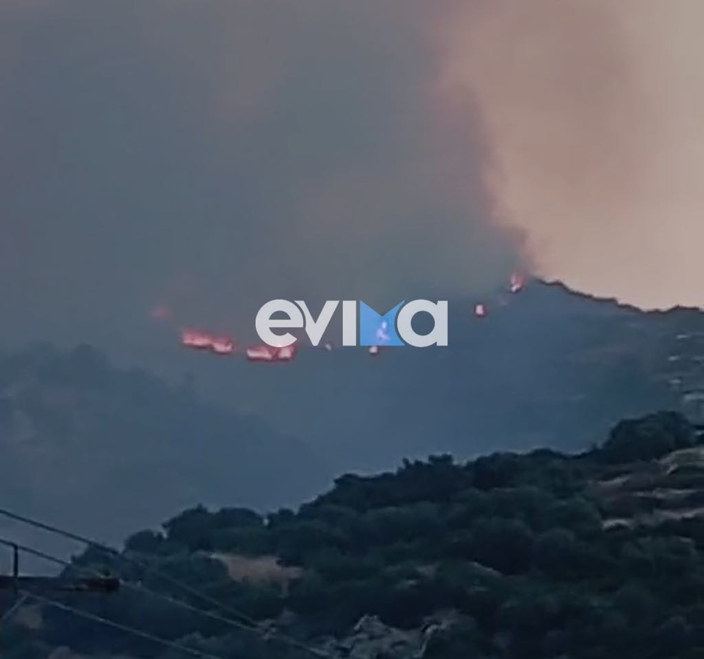 Εύβοια: Οριοθετήθηκε η φωτιά στους Τσακαίους, παραμένει η ανησυχία για ...