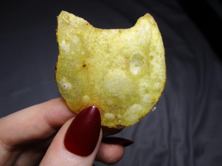 15+ Photos That Show How Strange Reality Can Be