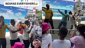 'Shameless Display': Netizens Slams On Viral Video Of Indians Dancing ...