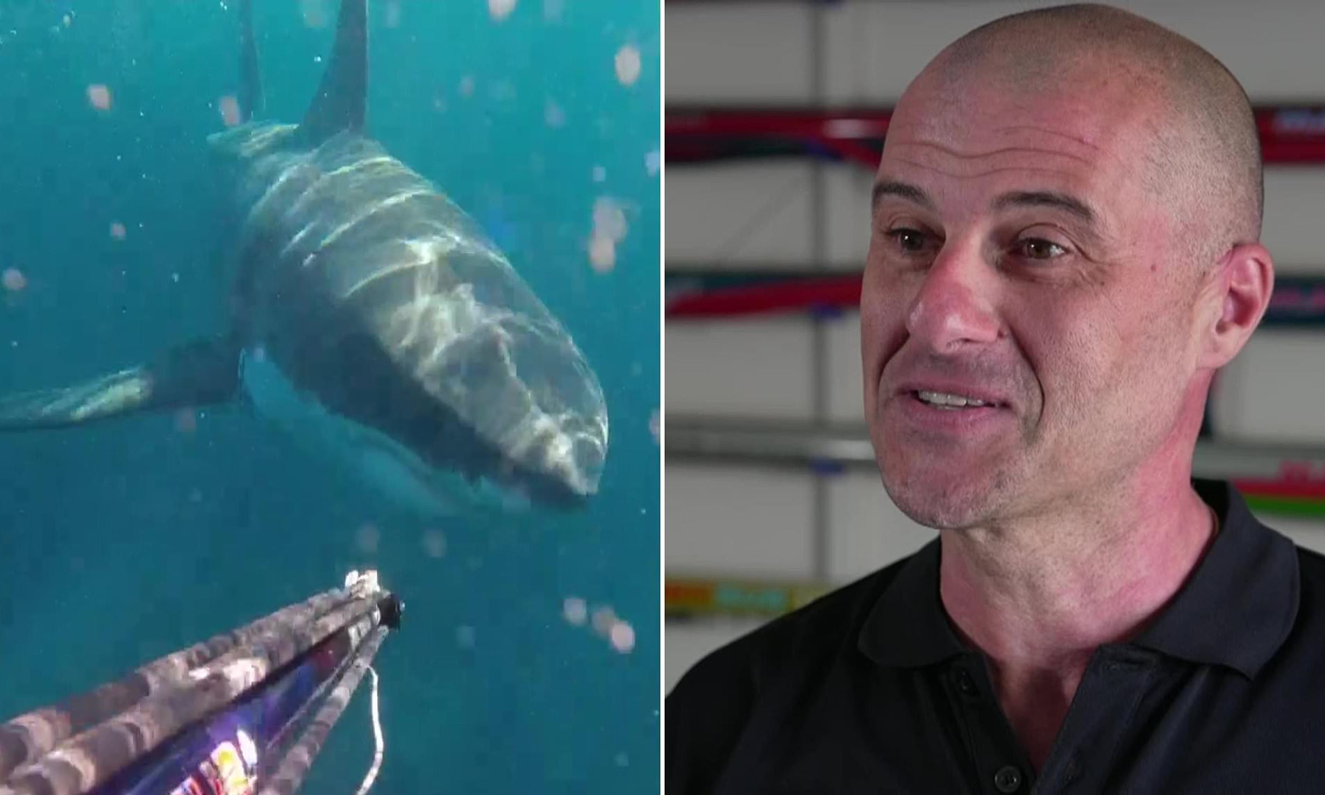 Chilling moment fisherman comes face to face with huge great white ...