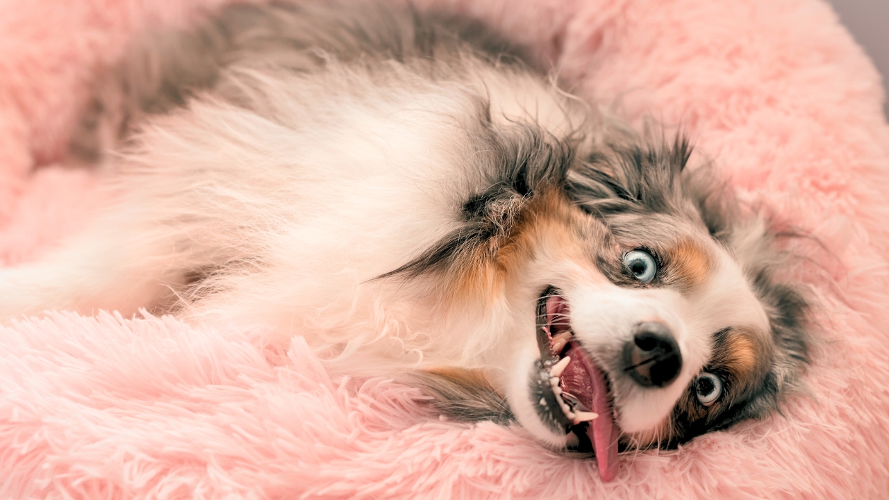 Everyday Items That Make Your Home Smell Disgusting