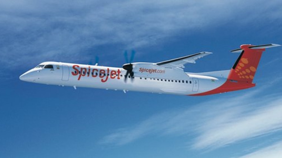 SpiceJet Fined Rs 25,000 By Consumer Court For Issuing Wrong Ticket To Senior Citizen