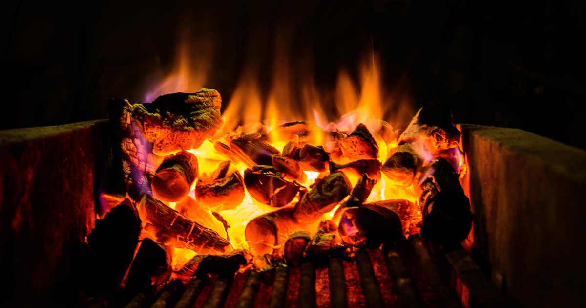 Humans Did Not Originally Use Fire For Cooking Until Much Later, Claims ...