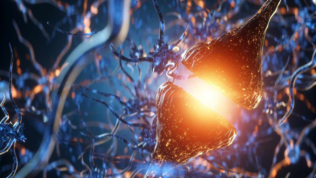 Scientists Record Brain's Final Moments: A Glimpse Into Dying Thoughts