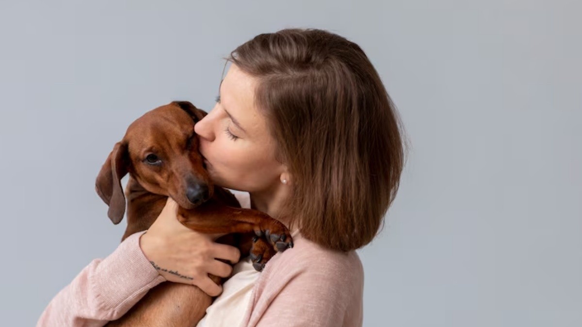 8 clear signs your dog is still clinging to life