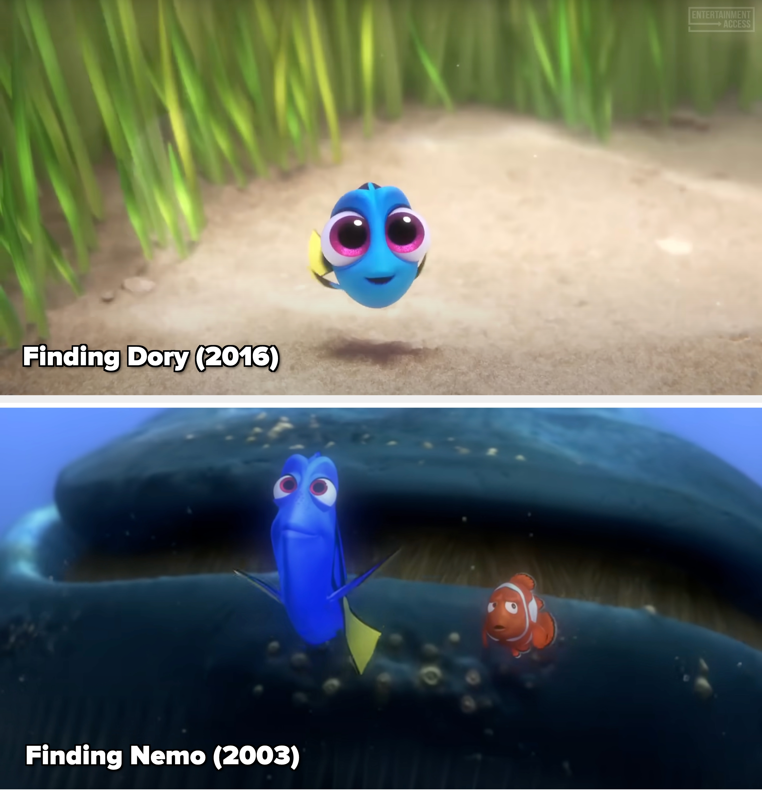 17 Movie Sequels That Came Out Waaaaaaay After The Originals