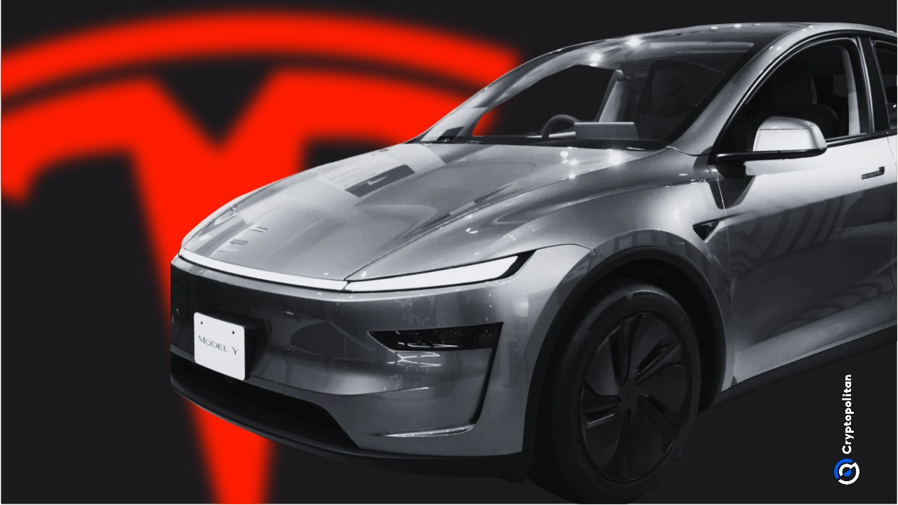 Elon Musk announces the launch of Tesla’s Robotaxi service in South ...