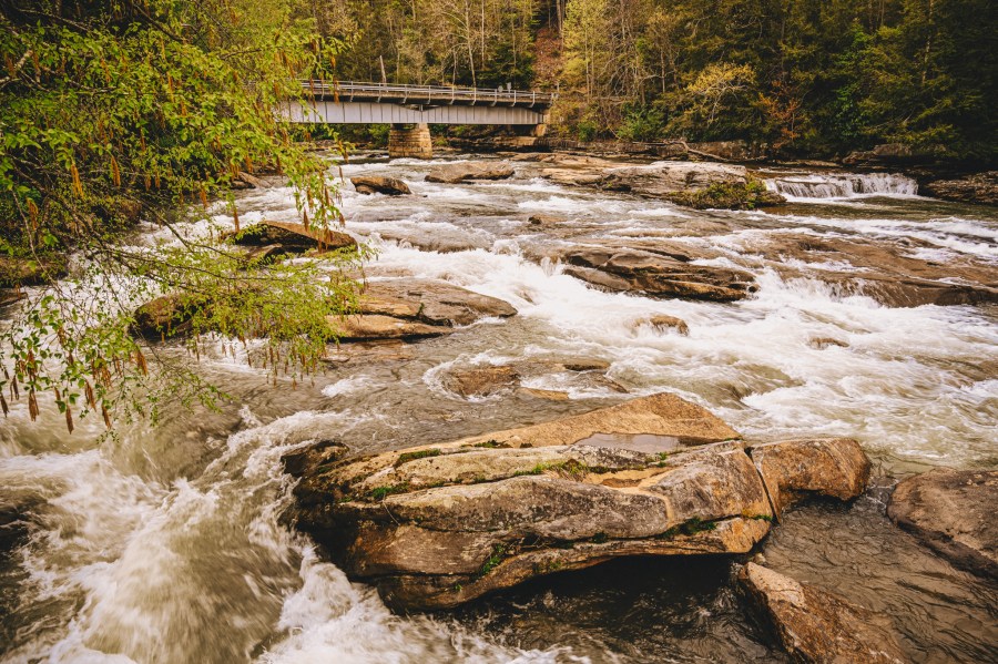 West Virginia hiking trails that are bearable when it’s really hot