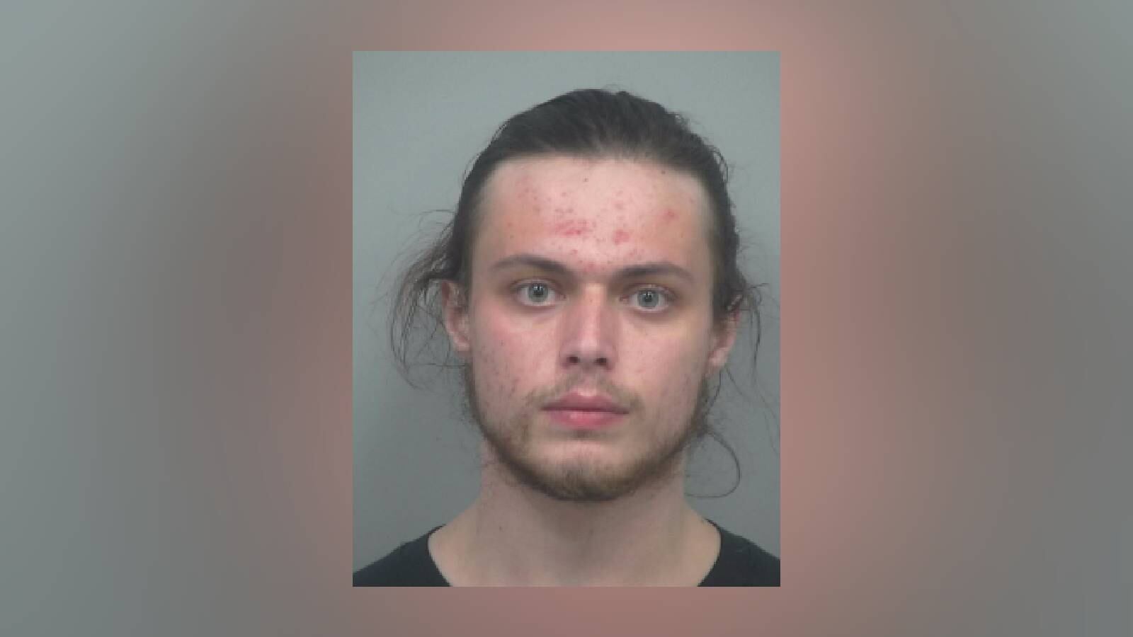 Dacula man sentenced to life in prison after pleading guilty to murder ...