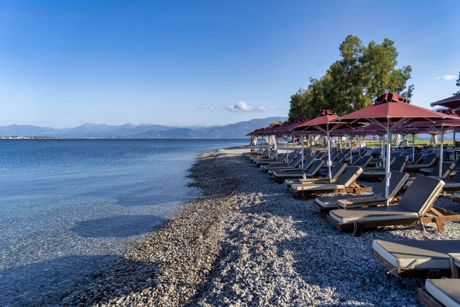 Διακοπές στην Αιγιάλεια: Ανάμεσα σε πεύκα και βότσαλα οι απόλυτες ...