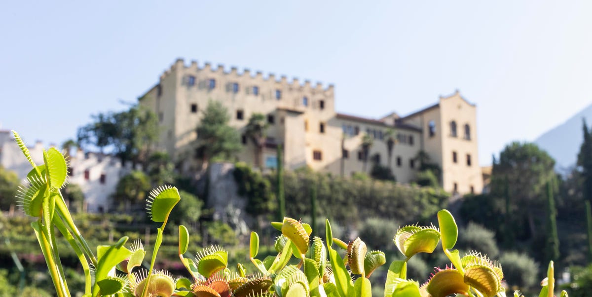 La città con 11 castelli che puoi vedere in un'unica passeggiata (o in ...