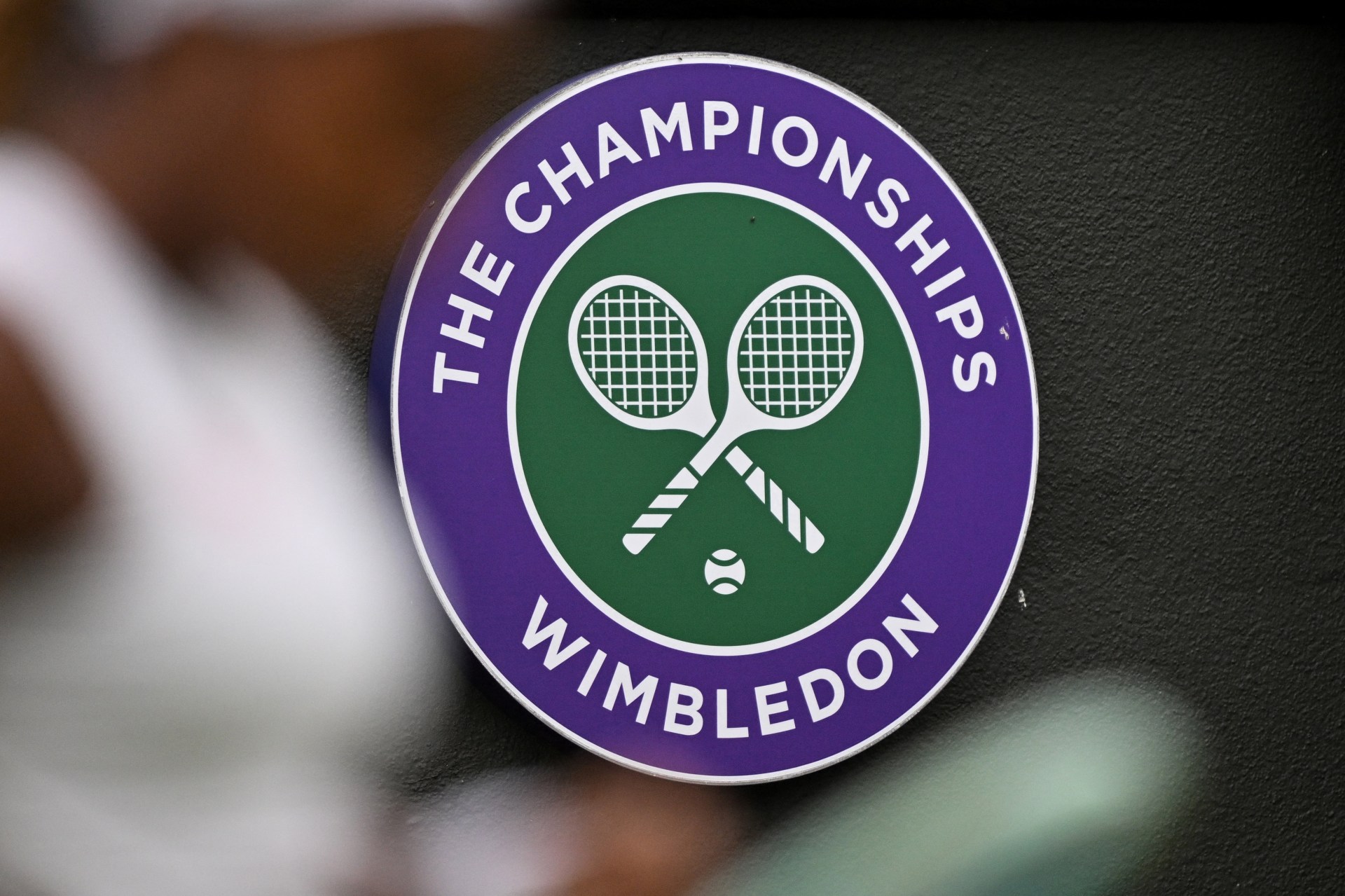 Wimbledon 2025 full guide: Everything you need to know