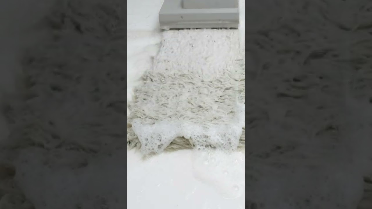 Maggot Infested Rug | Satisfying Carpet Cleaning