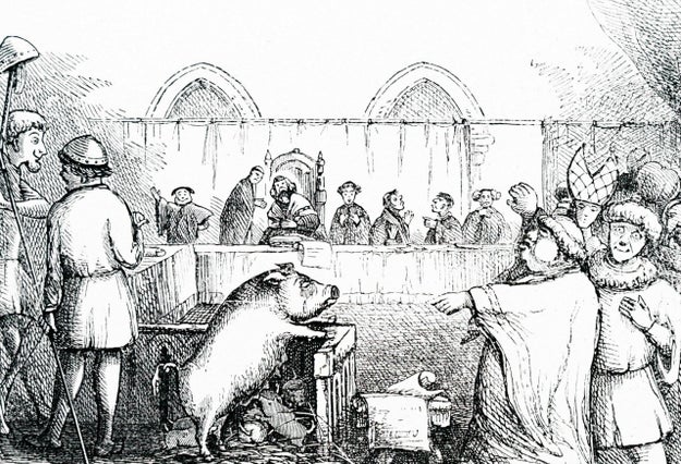 50 Genuinely Surprising Historical Facts That You'll Be Thinking About ...