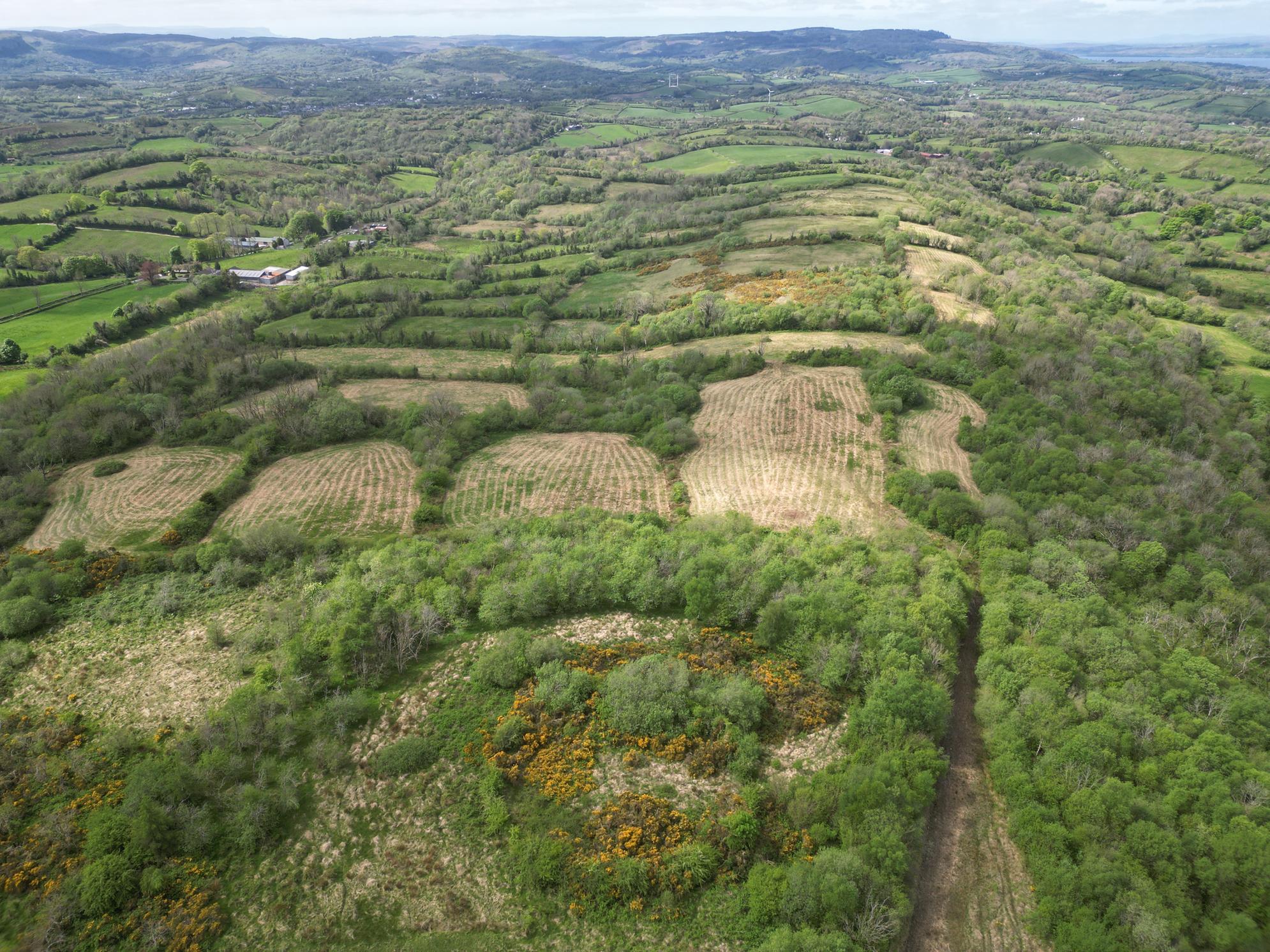 Rare Fermanagh farmland has been safeguarded for nature with newest ...