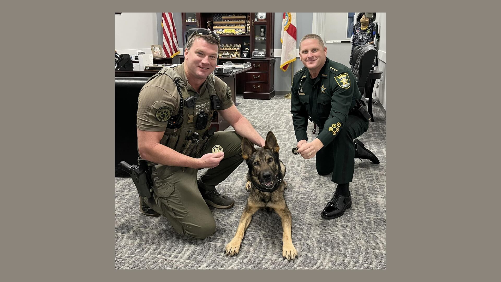 St. Johns Sheriff’s Office mourns the death of beloved K9 ‘Bane’