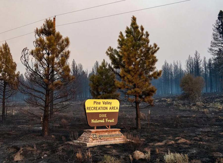 Forsyth Fire update: currently 5,660 acres, lightning confirmed as cause