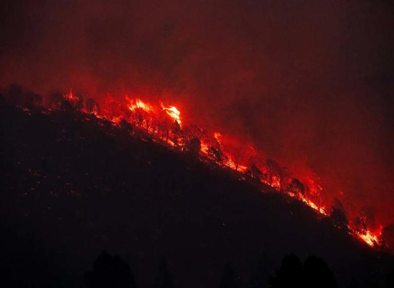 Forsyth Fire update: currently 5,660 acres, lightning confirmed as cause