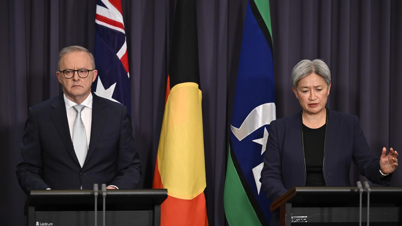 ‘Cut support’: Albo faces fury from own party