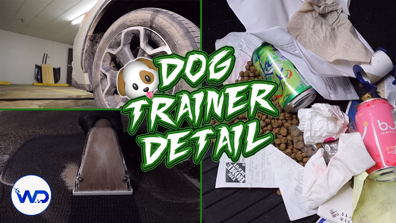 Detailing a dog trainer’s filthy SUV inside and out