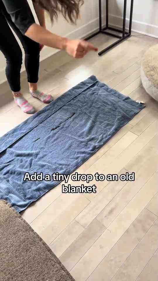 Fun Indoor Activities to Stimulate and Entertain Your Dog
