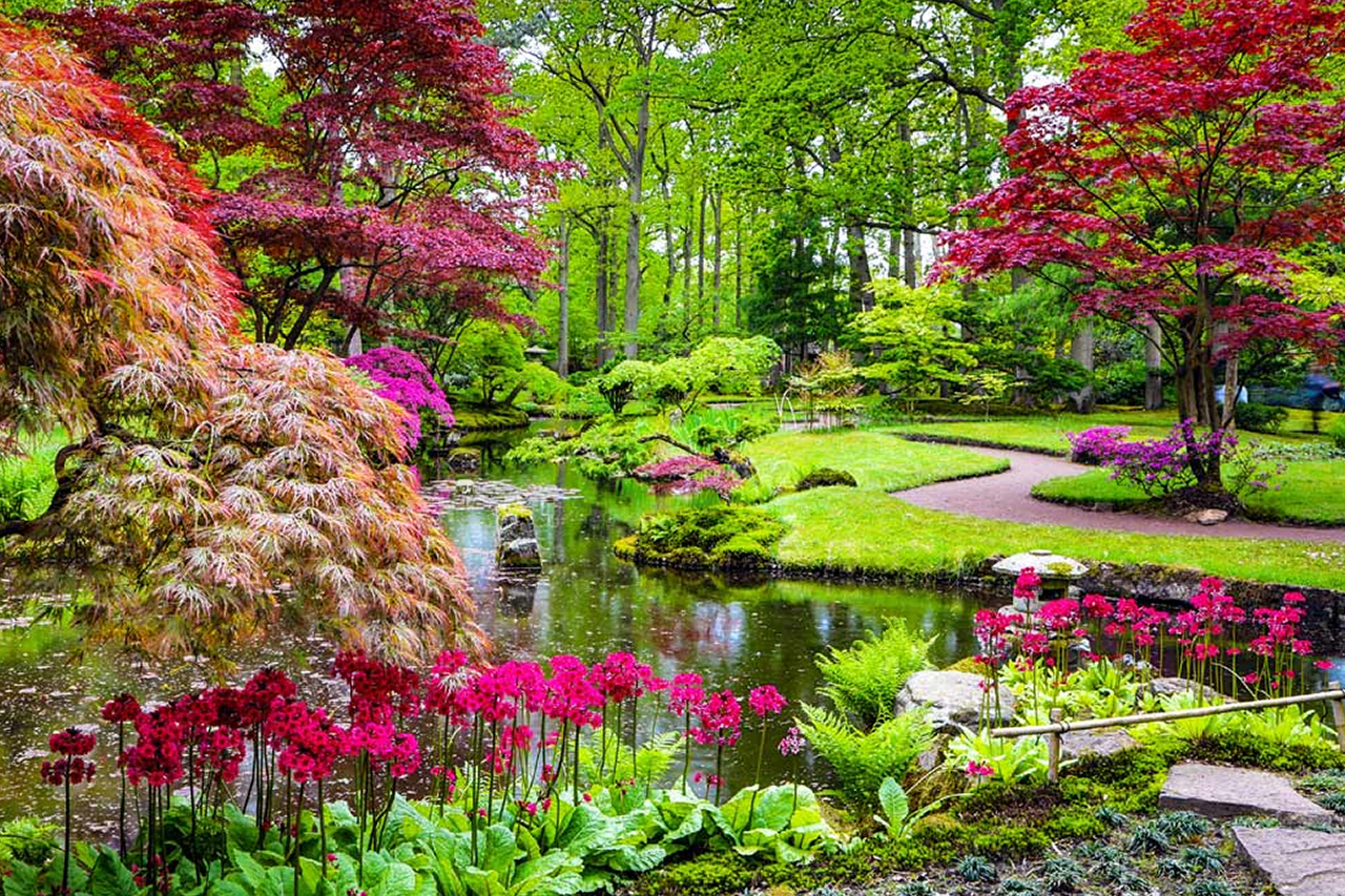 La Belleza de los Jardines Japoneses: Historia, Filosofía y Elementos ...