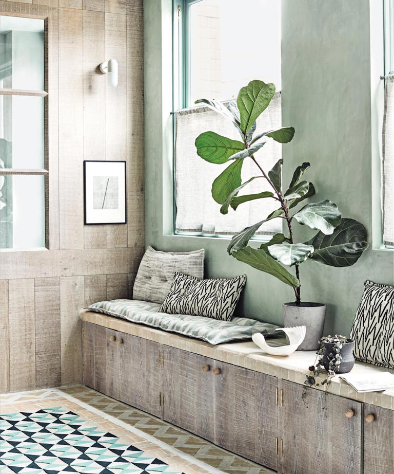 What's your birth month houseplant? Discover which indoor plant you ...