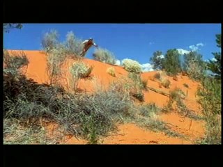 The Crocodile Hunter: Collision Course | movie | 2002 | Official Trailer