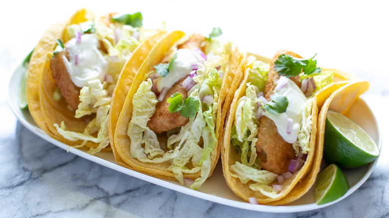 15 Best Types Of Fish To Use In Tacos