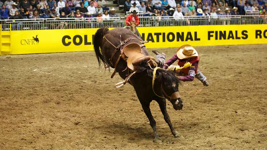 College National Finals Rodeo Results: 2025 Champions